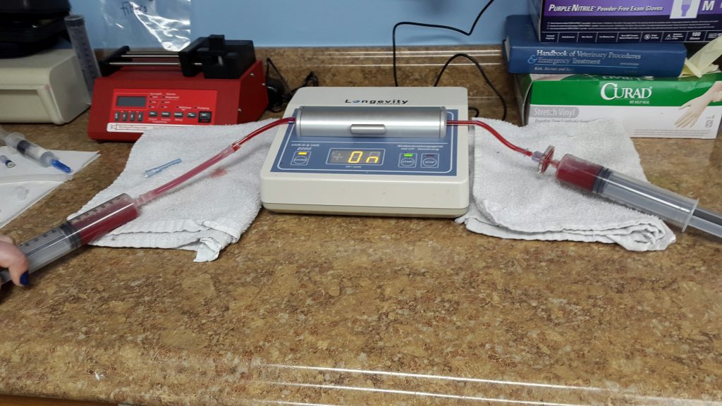 Ozone & Biophotonic Therapy - Idyllic Paws Veterinary Care